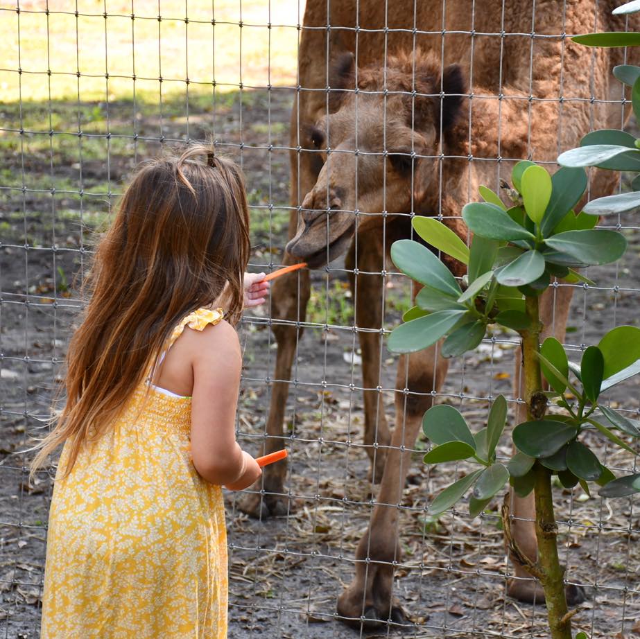 How To Keep Your Boca Kids Busy This January - Boca Raton Magazine