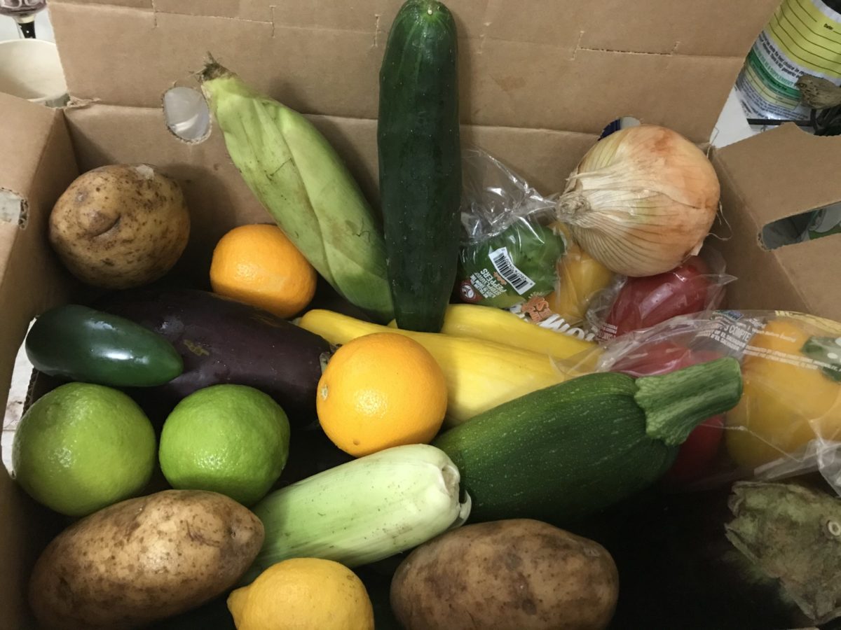 Local Farms You Can Buy Fresh Produce From Directly - Boca Raton Magazine