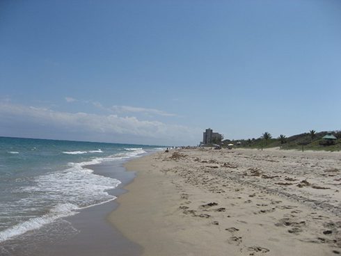 Flood Prep, Updates on Haynie and Zucaro, and Our Blue Ribbon Winners ...