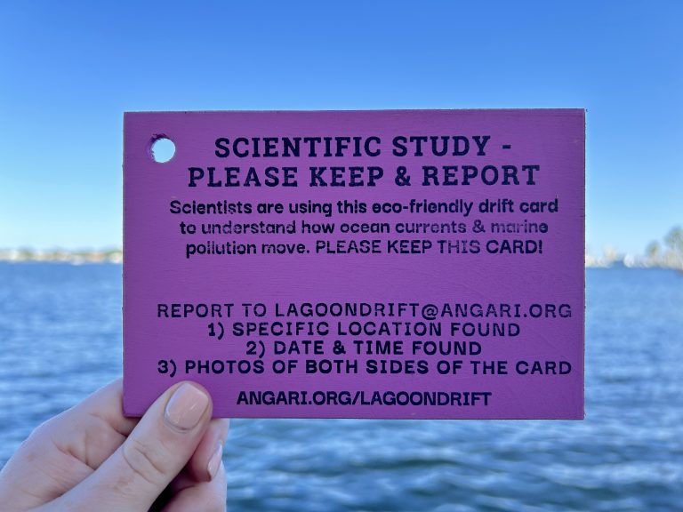 See a Purple Card in the Water? Here’s What to Do With it. - Boca Raton ...